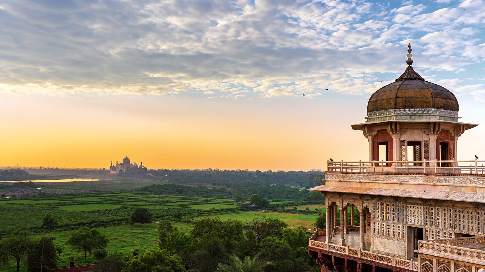 - Luxury Taj India Tours